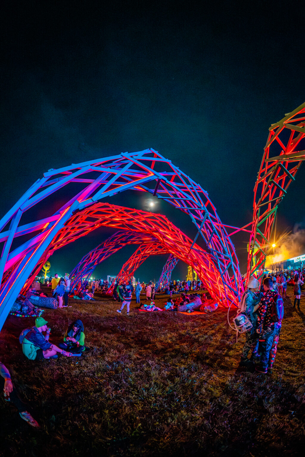 History - Force Fields Festival